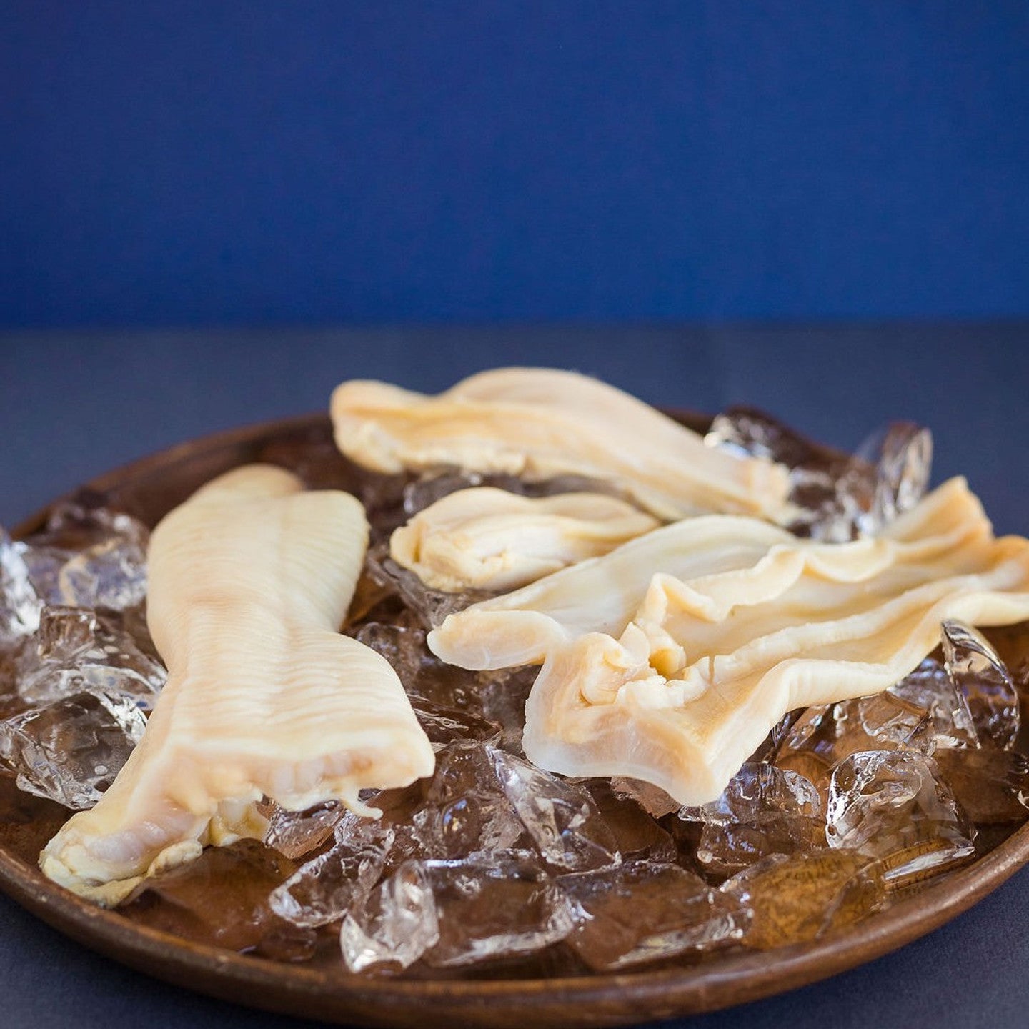 Frozen Cleaned Geoduck (1lb) – City Fish